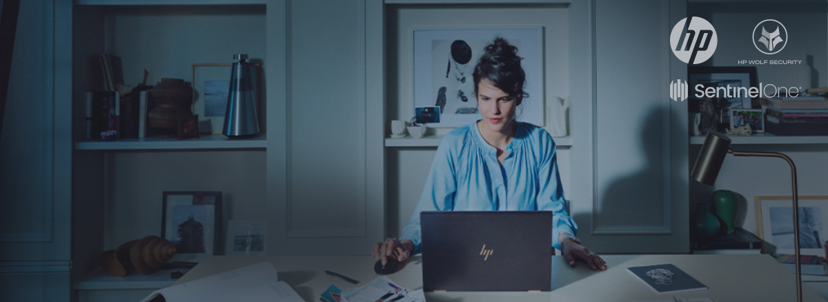 BORGWARE GmbH - Ihr Partner für individuelle IT-Lösungen & Services