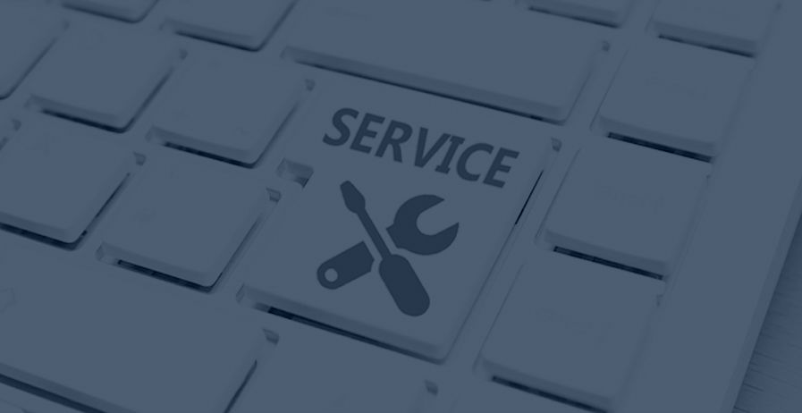 IT-Services | BORGWARE